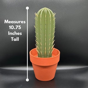 3D Printed Cactus Toothpick Holder - Spring Mechanism to Extend ...