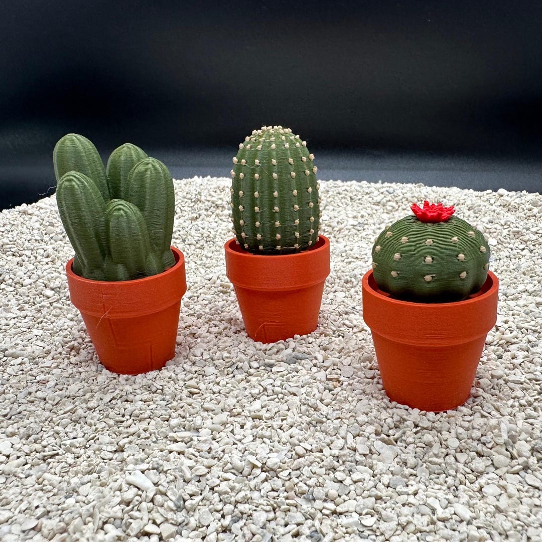 3D Printed Clicki Cacti Fidget - Mechanical Switches, Torch - Ball ...