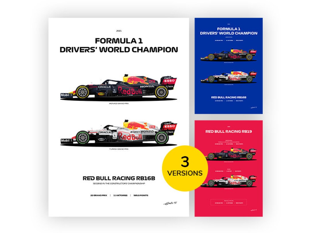 F1 Red Bull RB16B, Max Verstappen and Sergio Perez Car, Two Livery ...