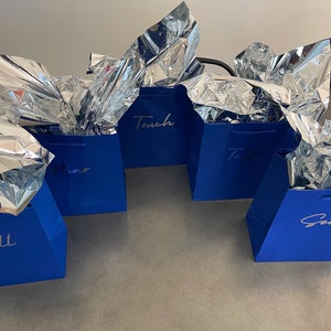 5 Senses Gift Bags - 7.75x9.5in - Etsy