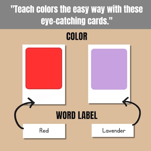 20 Color Flashcards, Montessori Flashcards, Nomenclature Flashcards ...