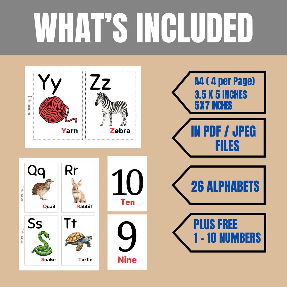 Printable Alphabet Flash Cards, Toddlers Preschool Early Learning ...