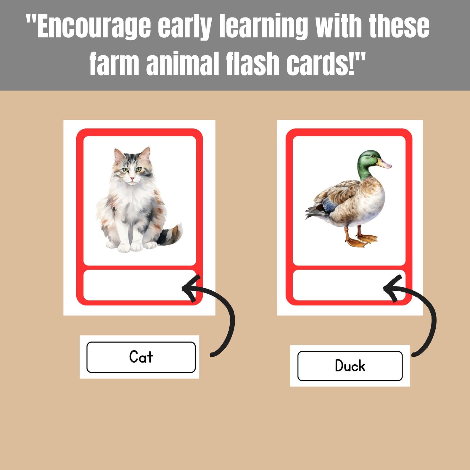 Farm Animals Flash Cards, Montessori Flash Cards, Educational Preschool ...