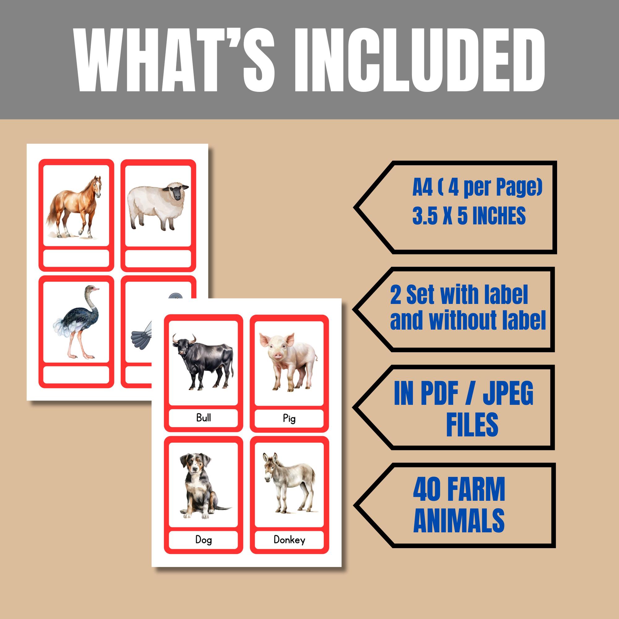 Farm Animals Flash Cards, Montessori Flash Cards, Educational Preschool ...