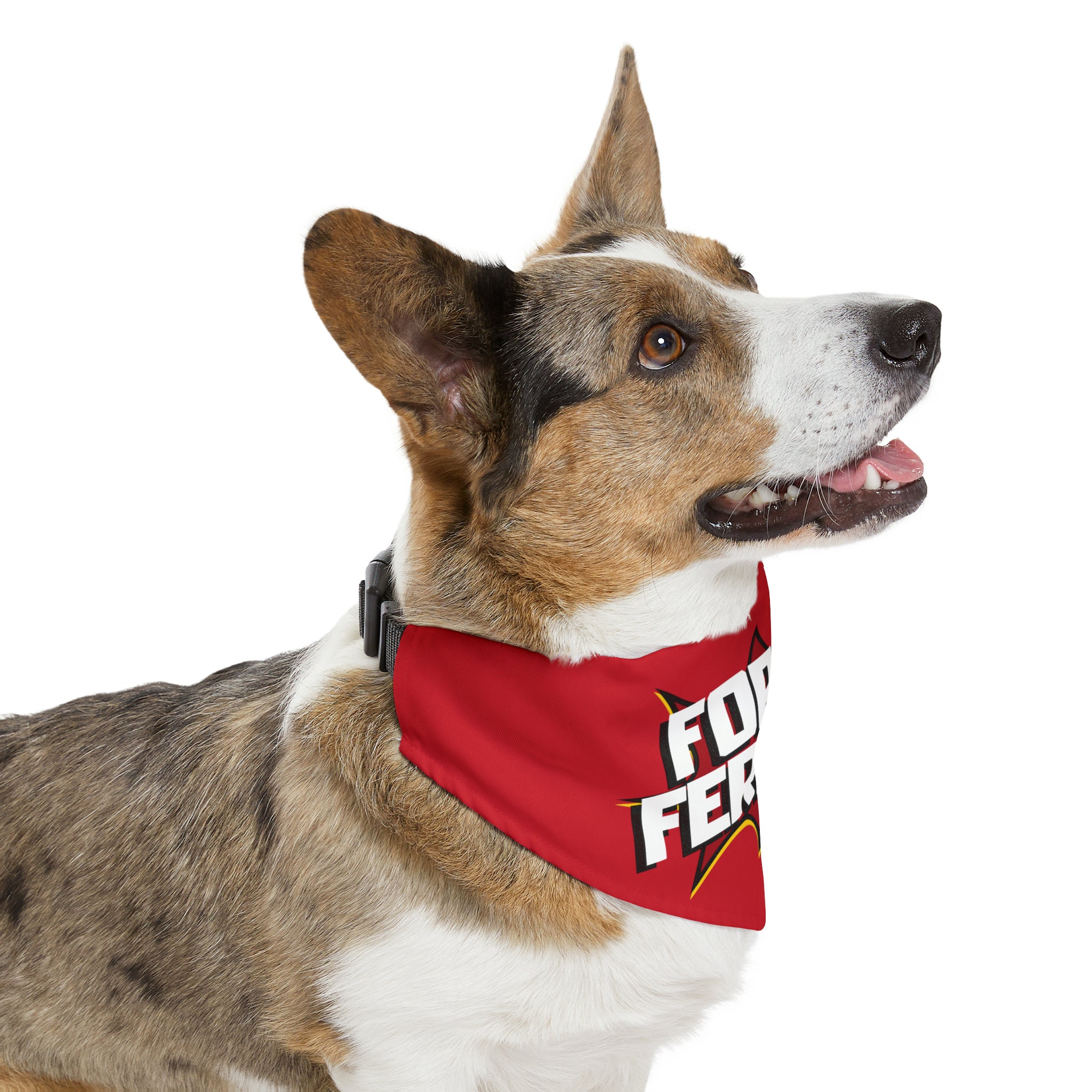 Ferrari Formula 1 Dog Bandana Ferrari F1 Racing Dogcollar Formula One ...