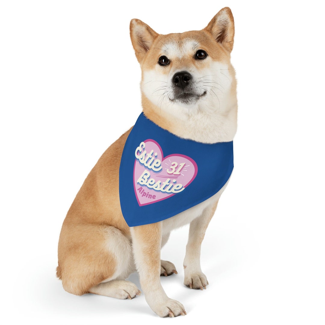 Formula 1 Esteban Ocon Dog Bandana Alpine F1 Racing Dogcollar Formula ...