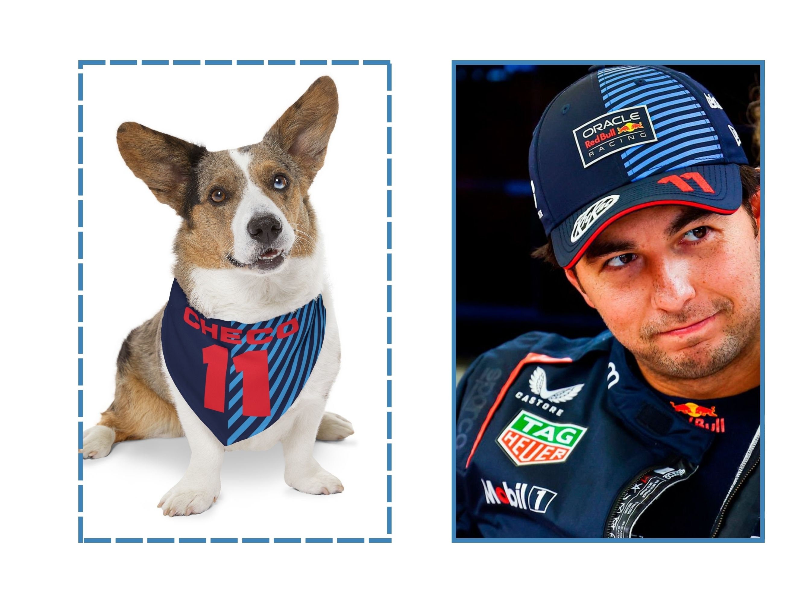 Formula 1 Sergio Perez Dog Bandana Redbullf1 Racing Dogcollar Formula ...