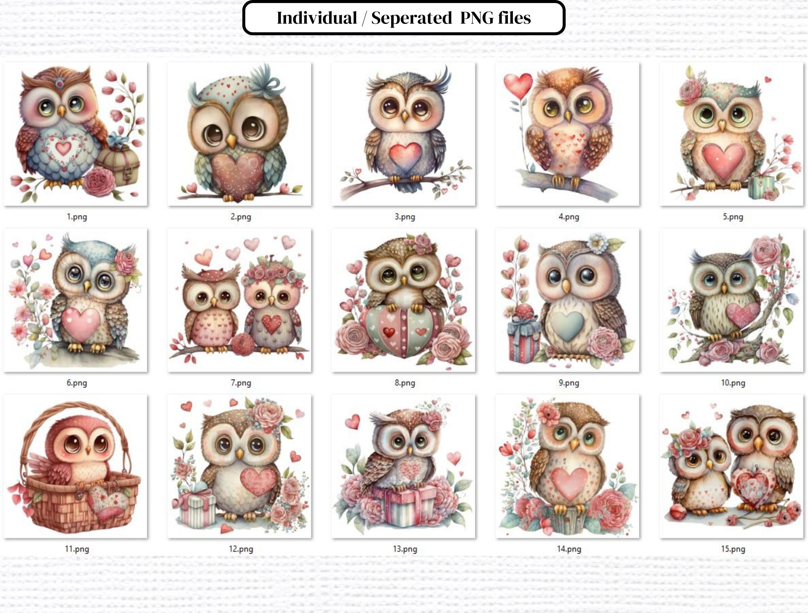 Cute Valentines Owl Png Clipart - Watercolor Owl Bundle - for Junk ...
