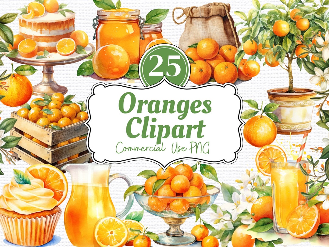 Oranges Summer Citrus Png Clipart Images -watercolor Bundle - Includes ...