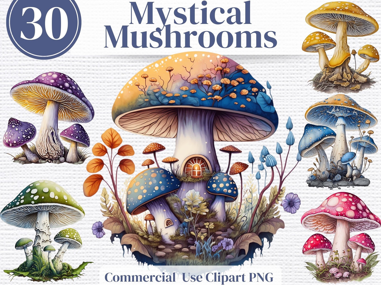 Mystical Forest Mushrooms Cluster PNG Clipart Bundle - Etsy