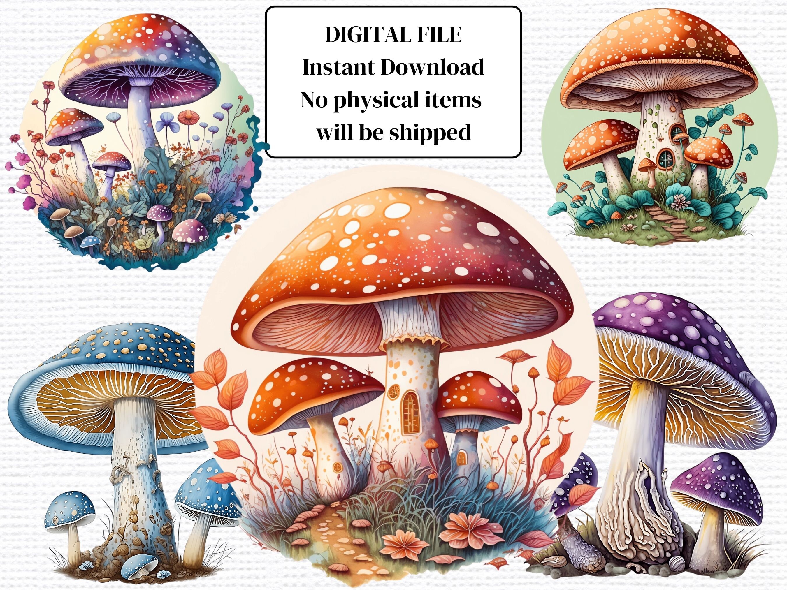Mystical Forest Mushrooms Cluster PNG Clipart Bundle - Etsy