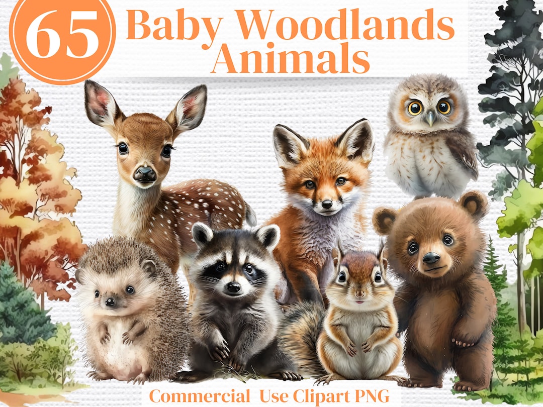 65 Woodland Forest Animals Watercolor Clipart, Nursery Woodland, Baby ...