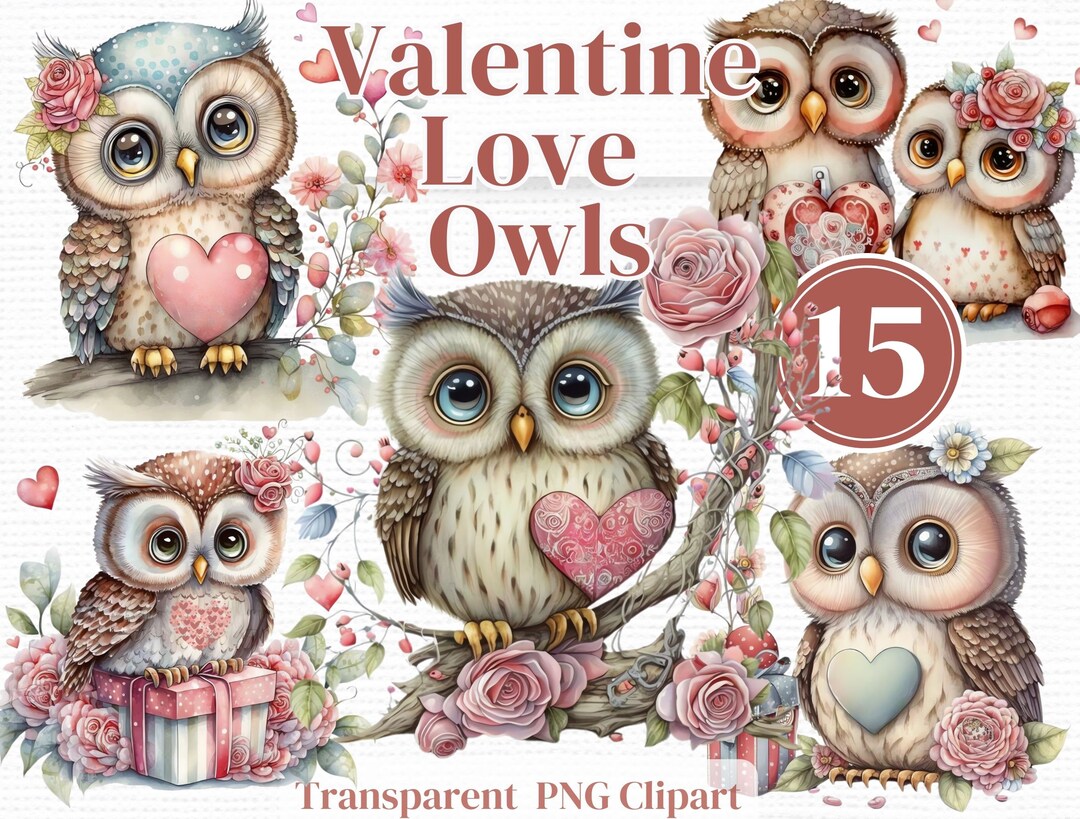 Cute Valentines Owl Png Clipart - Watercolor Owl Bundle - for Junk ...