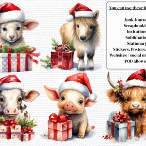 Cute Baby Christmas Animals Png Clipart - Watercolor Winter Bundle ...