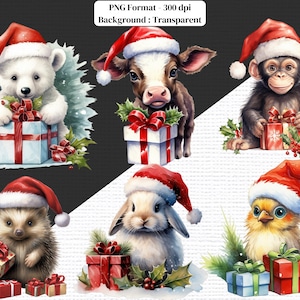 Cute Baby Christmas Animals Png Clipart - Watercolor Winter Bundle ...