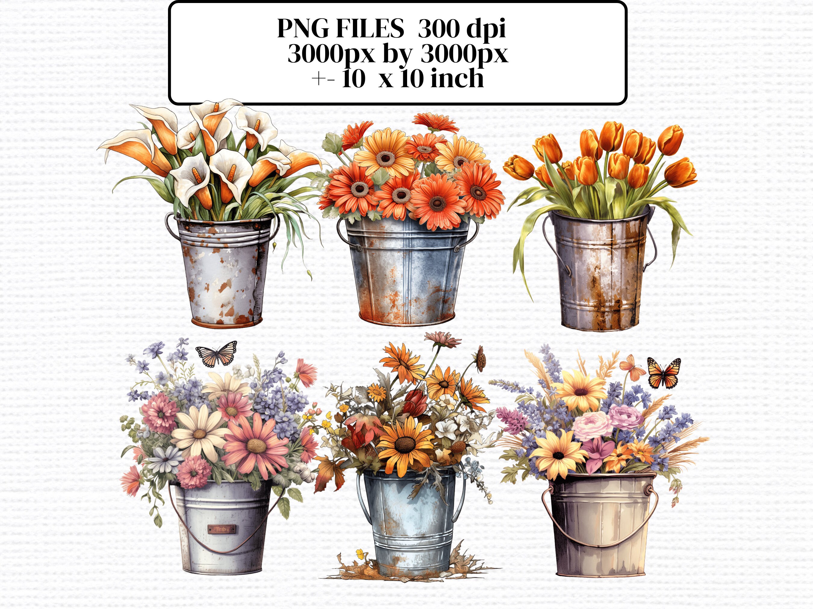 Watercolor Wildflower Png Clipart in Rustic Buckets Baskets - Etsy