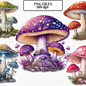 Mystical Forest Mushrooms Cluster PNG Clipart Bundle - Watercolor ...