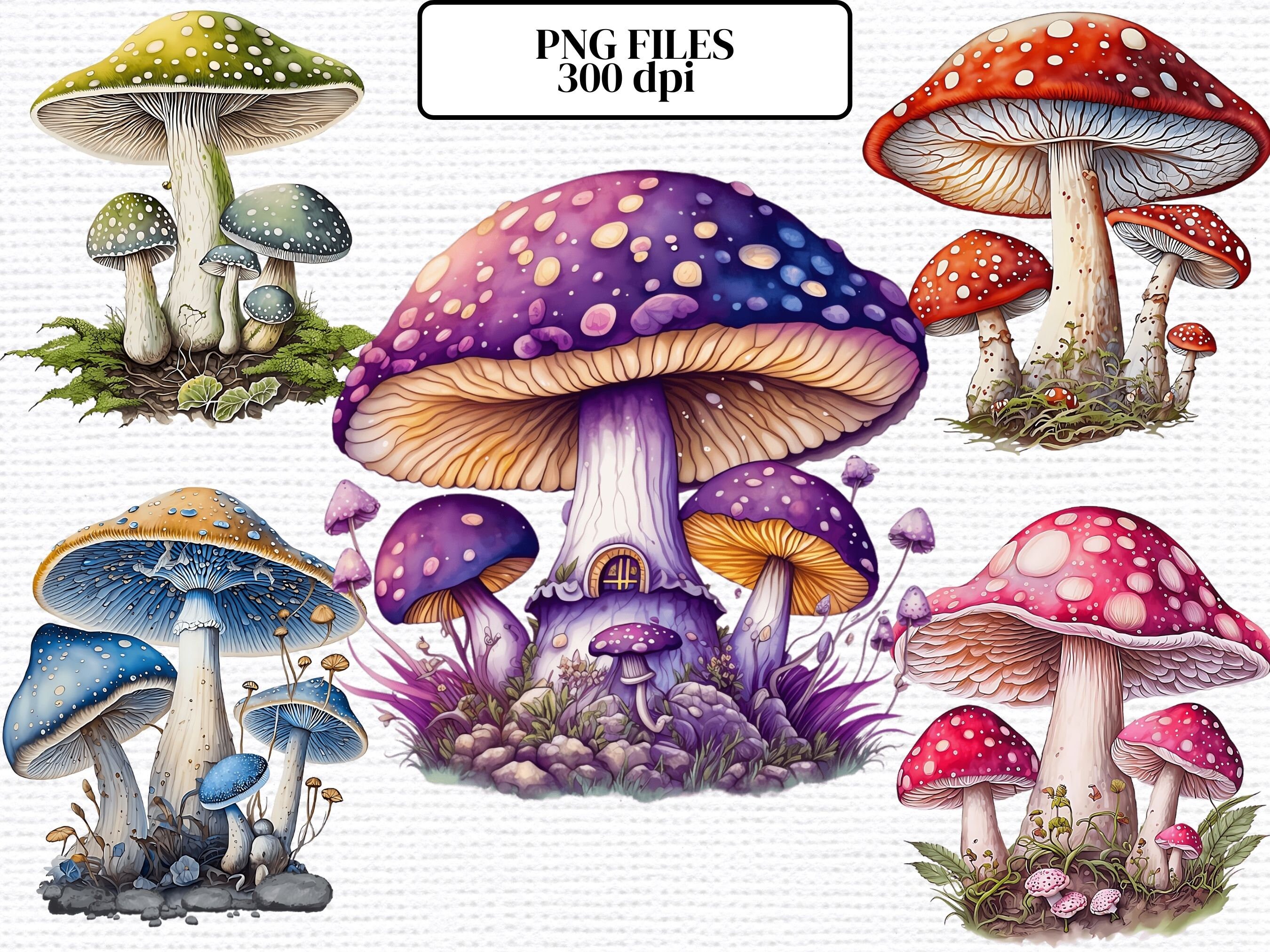 Mystical Forest Mushrooms Cluster PNG Clipart Bundle - Etsy