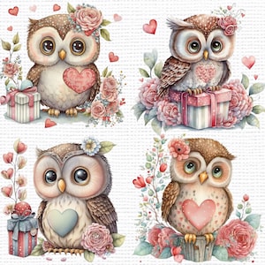 Cute Valentines Owl Png Clipart - Watercolor Owl Bundle - for Junk ...