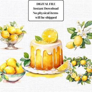 Summer Citrus Fruit Lemons Png Clipart Images -watercolor Citrus Bundle ...