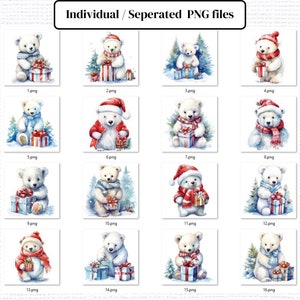 Christmas Polar Bear Winter PNG Clipart - Watercolor Bundle - Perfect ...