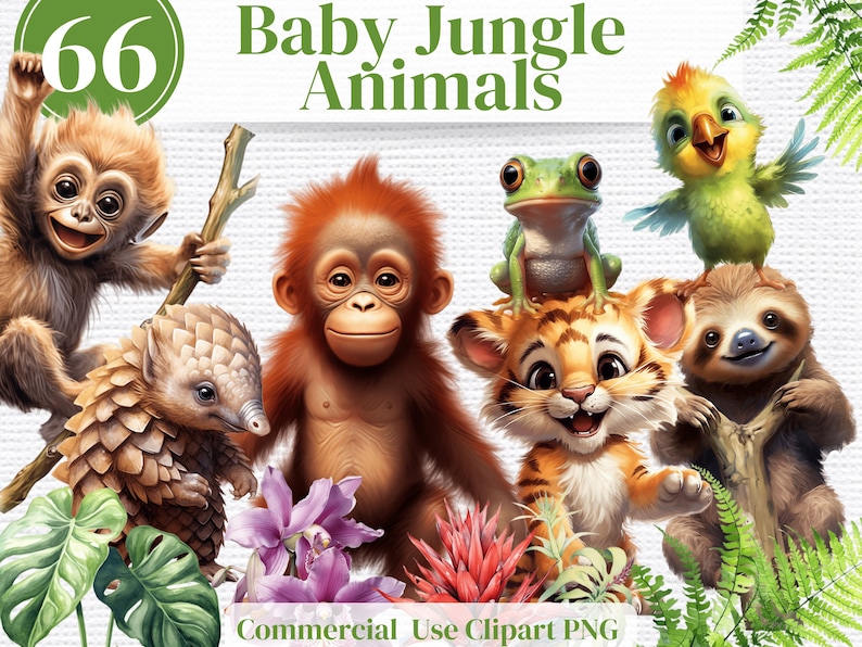 Jungle Animals Clipart PNG Forest Watercolor Baby Animals - Etsy