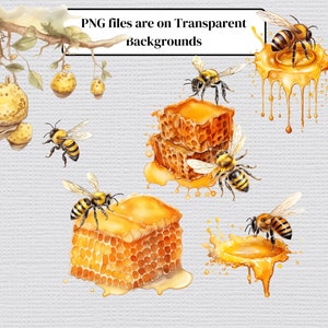 Honeybee Watercolor Png Clipart Bundle - Includes Honey Drips, Beehives ...
