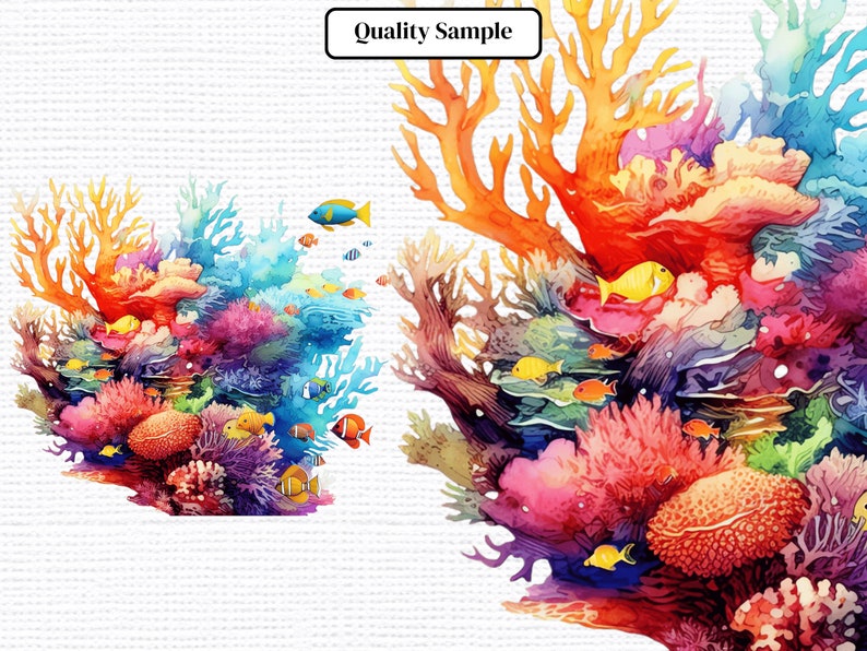 Coral Reef Ocean PNG Clipart Sea Life Watercolor Bundle - Etsy