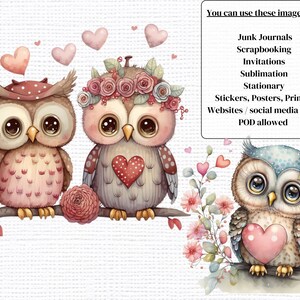 Cute Valentines Owl Png Clipart - Watercolor Owl Bundle - for Junk ...