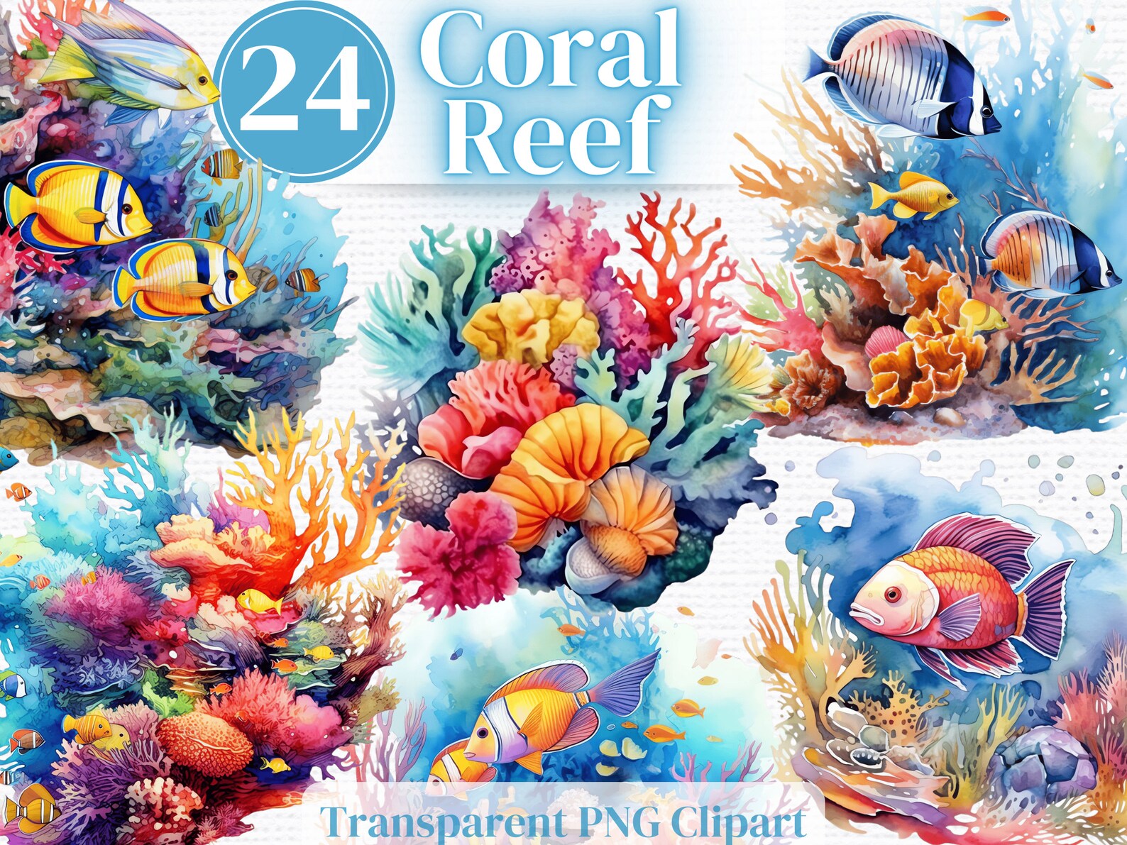 Coral Reef Ocean PNG Clipart Sea Life Watercolor Bundle - Etsy