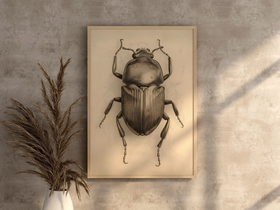 Scarab Beetle Painting Insect Watercolor Digital Insect Artwork Scarab ...