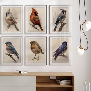 Set of 6 North American Bird Prints Downloadable Birds Gift Art Set ...