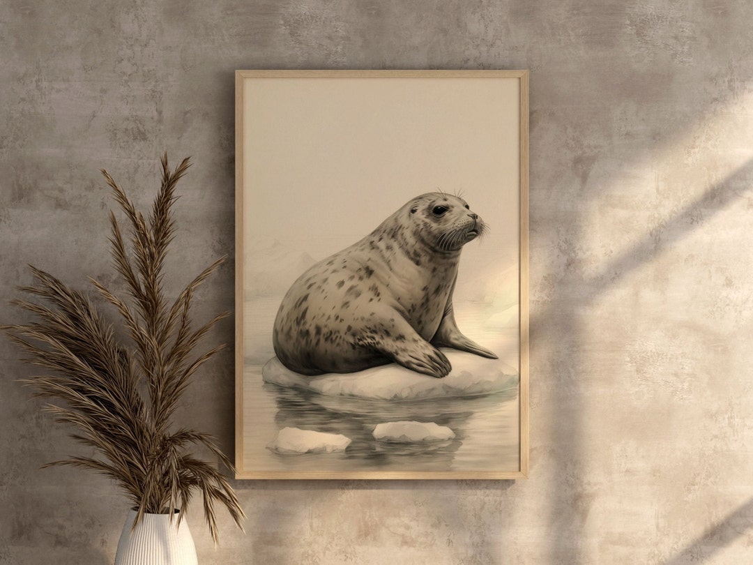 Harbour Seal Digital Wall Art Ocean Lover Gift Poster Seal Decoration ...
