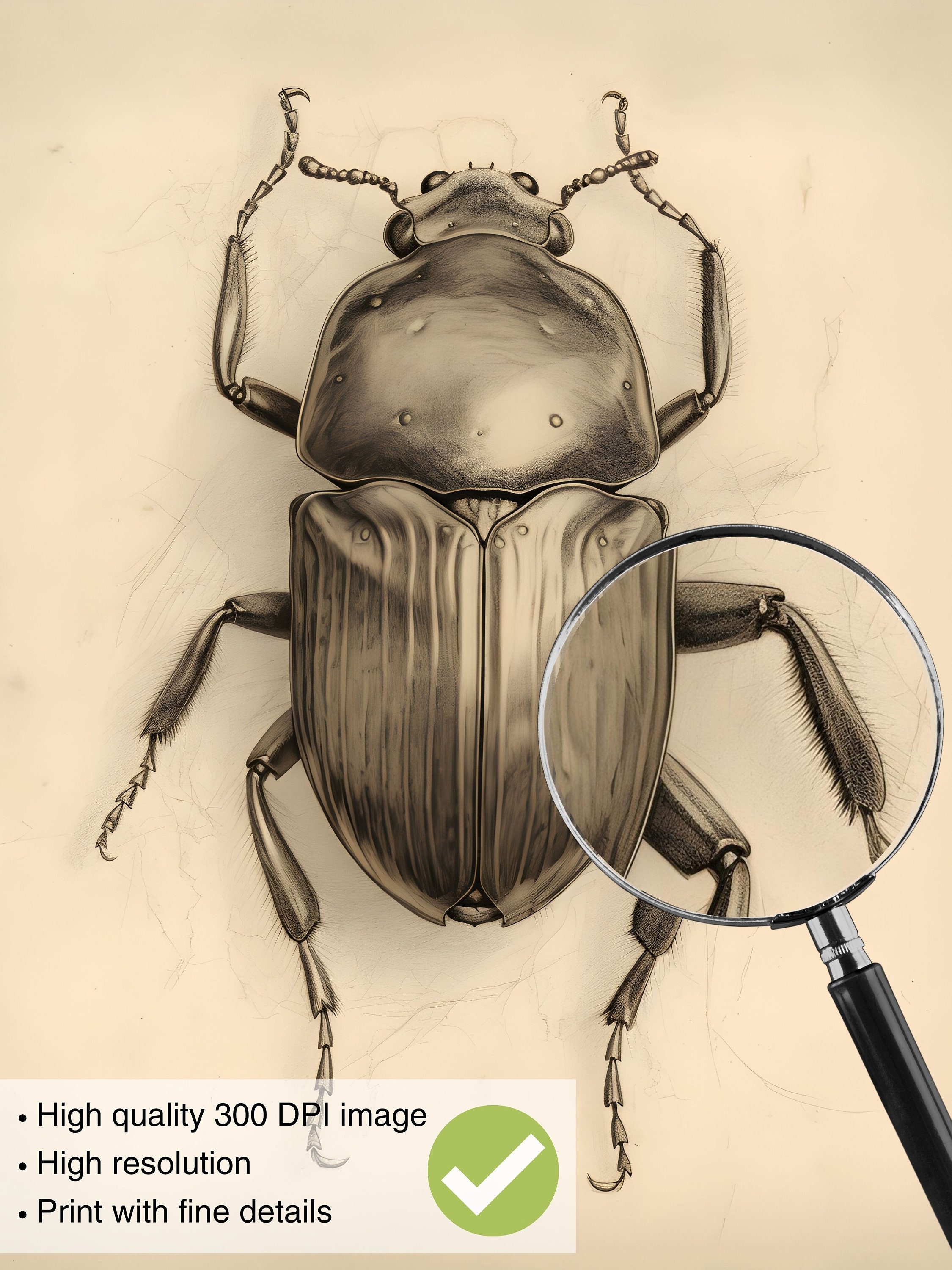 Scarab Beetle Painting Insect Watercolor Digital Insect Artwork Scarab ...