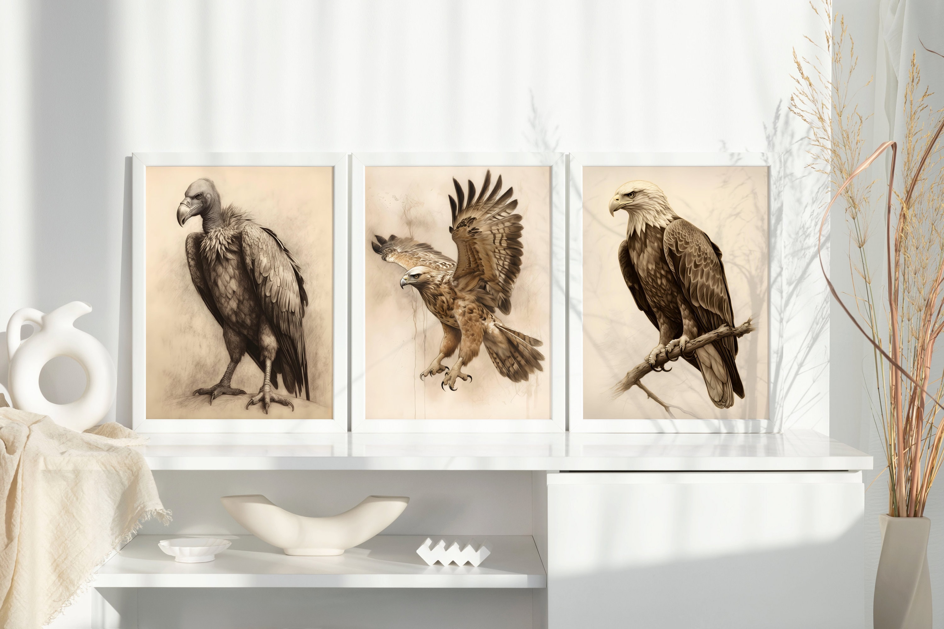Set of 3 Wallart Birds of Prey Printable Bird Set Hawk Eagle Vulture ...