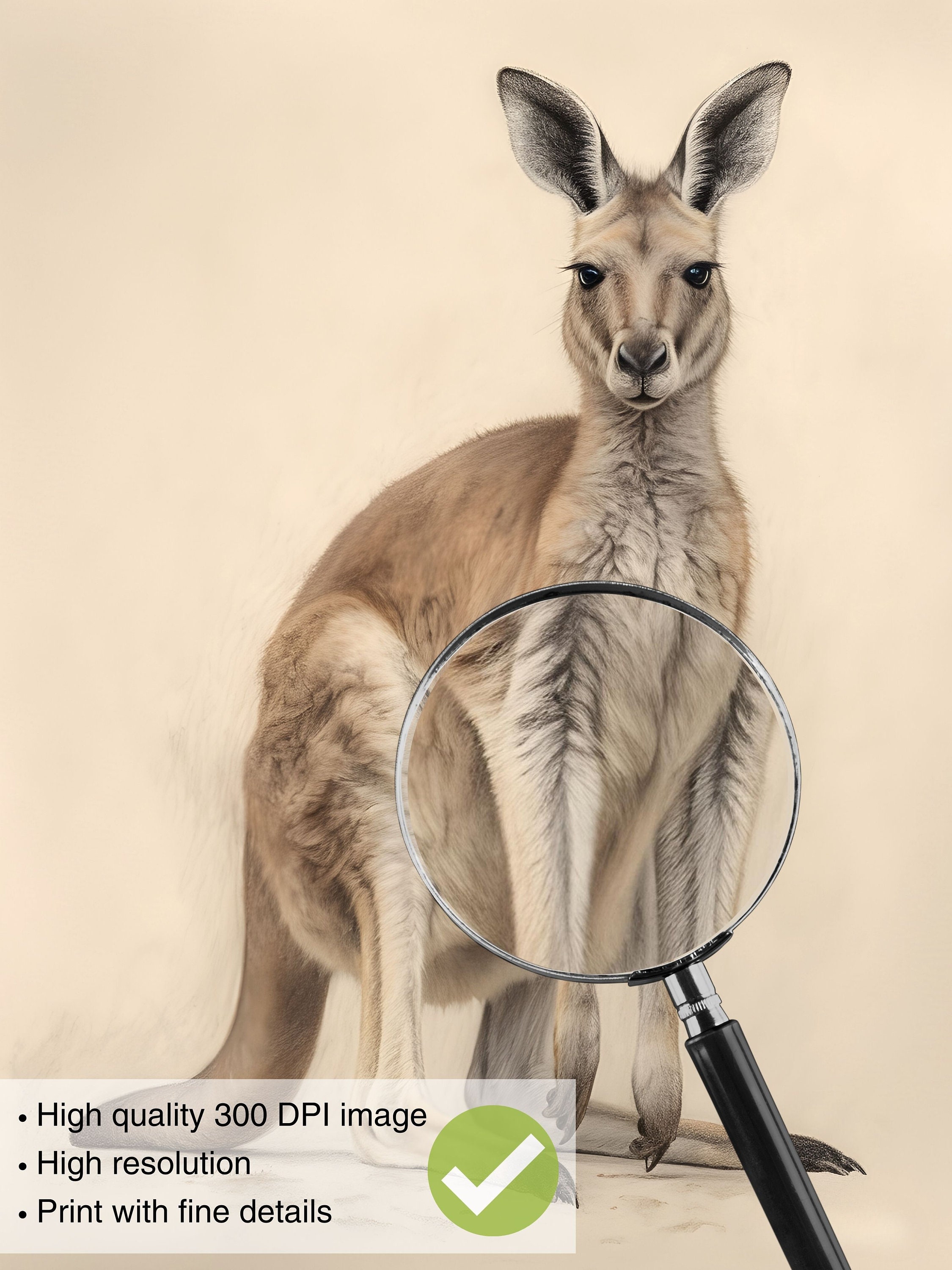 Australian Animals Kangaroo Digital Art Print Kangaroo Animal Gift ...