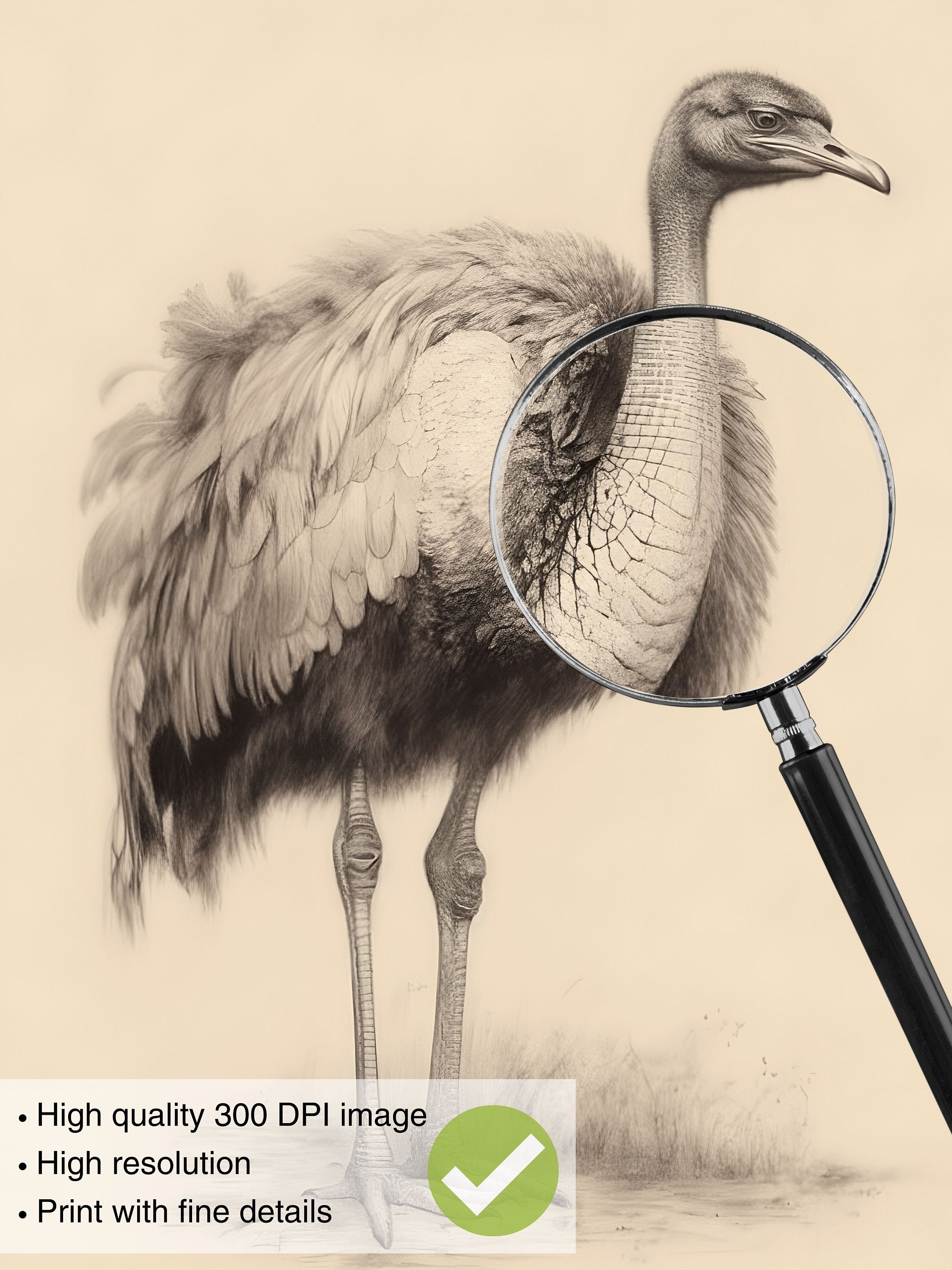 Ostrich Printable Decor Ostrich Art Gift for Bird Lover Emu Art Print ...