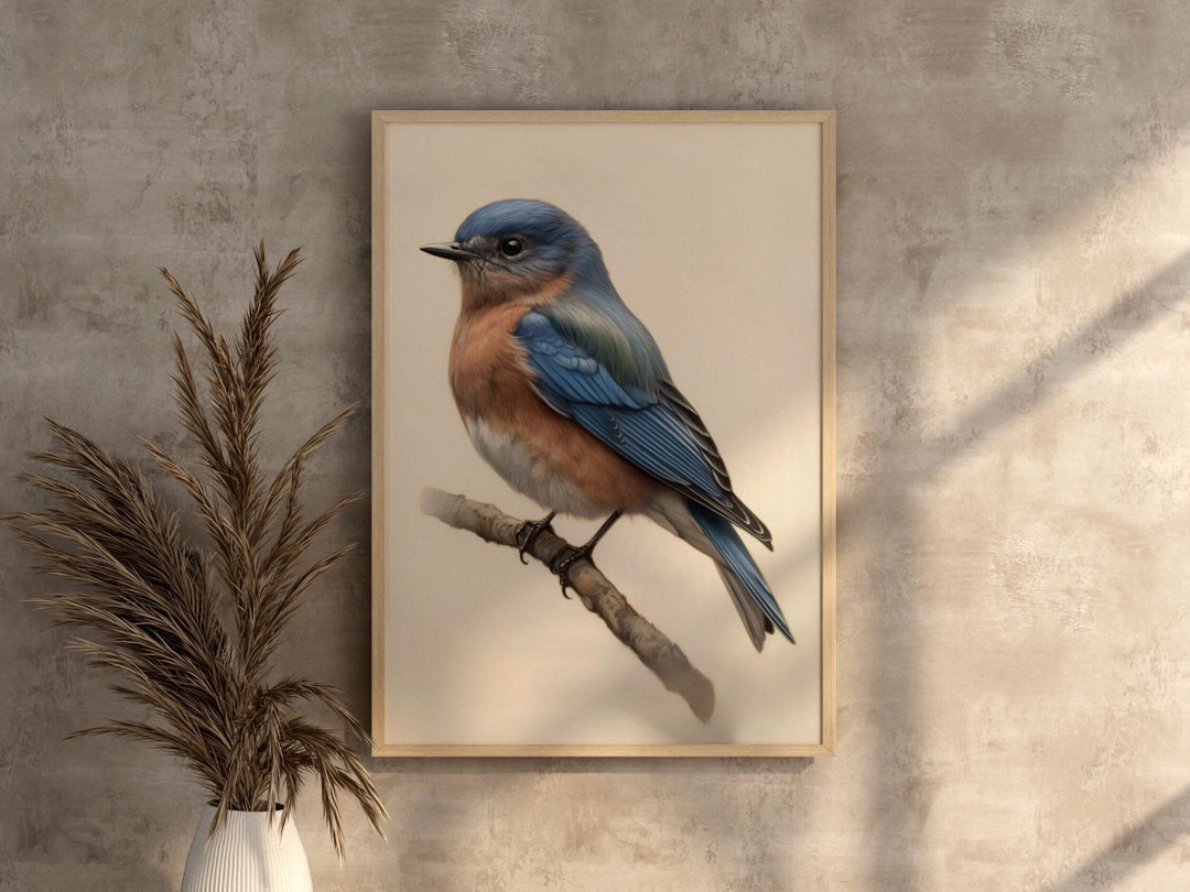 Eastern Bluebird Digital Printable Bird Art Instant Download Bird ...