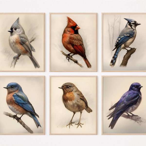 Downloadable Bird Art Set - Etsy