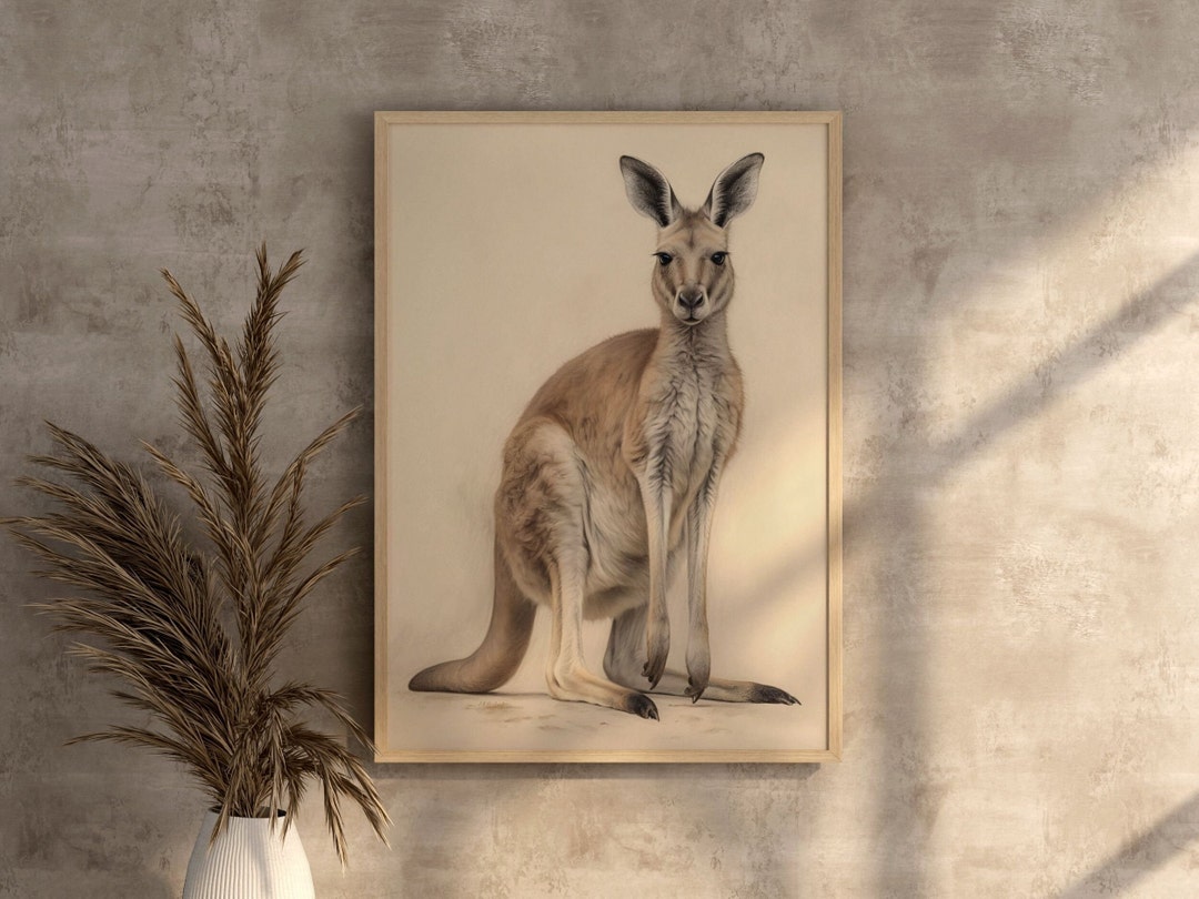 Australian Animals Kangaroo Digital Art Print Kangaroo Animal Gift ...