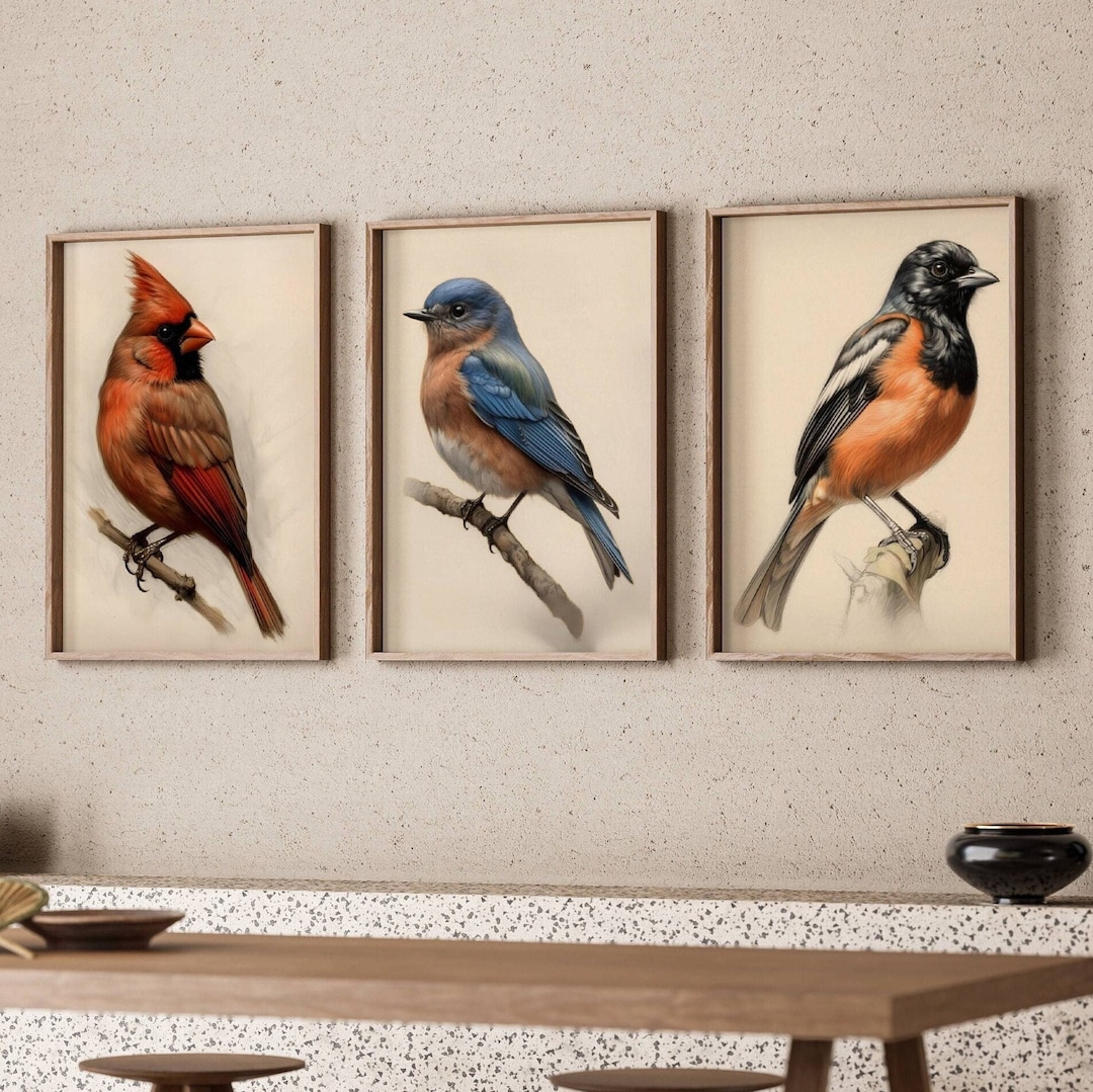 Garden Birds Poster Bird Digital Art for Bird Watchers Set of 3 Birds ...