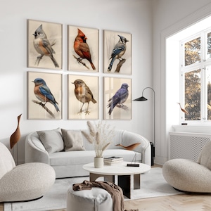 Set of 6 North American Bird Prints Downloadable Birds Gift Art Set ...