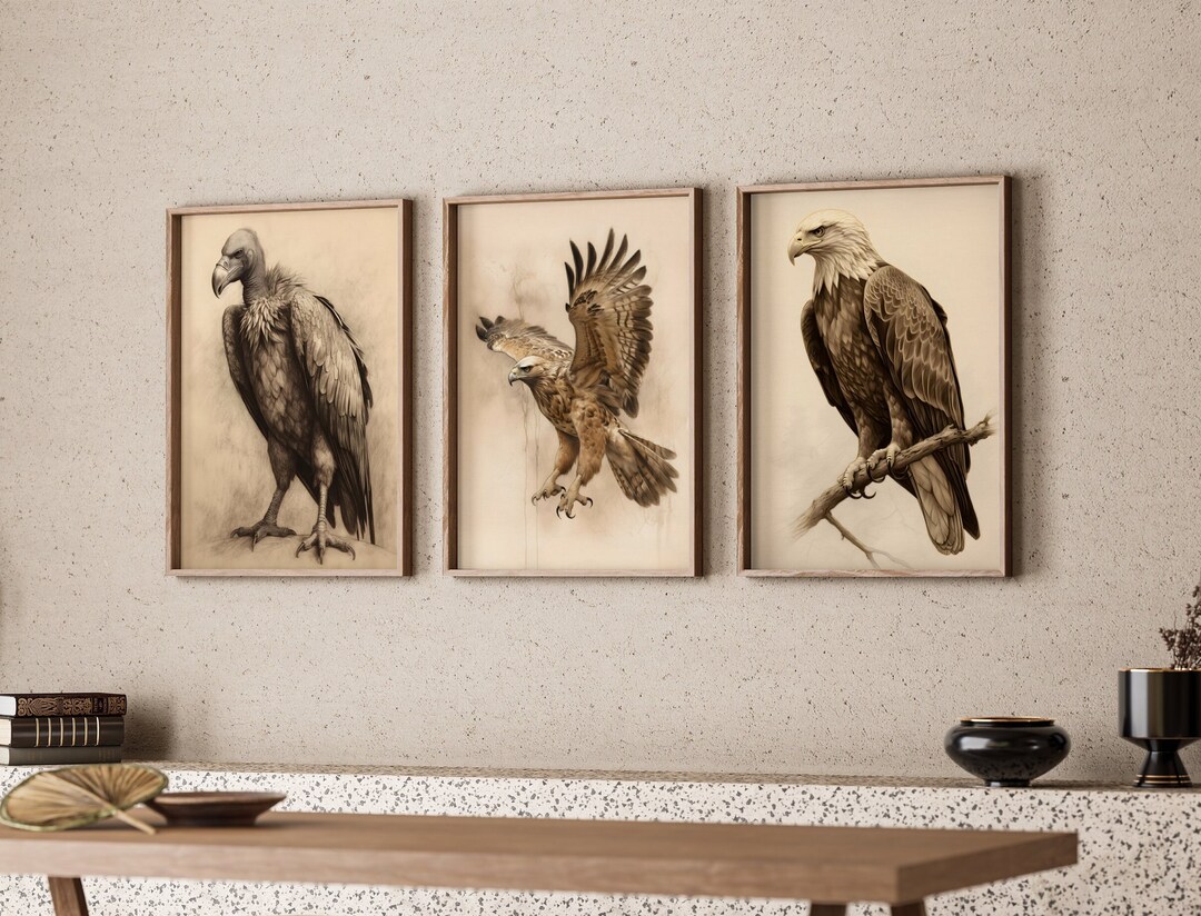 Set of 3 Wallart Birds of Prey Printable Bird Set | Hawk Eagle Vulture ...