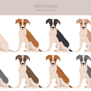 English Greyhound Clipart Bundle, Greyhound Puppy Clipart, High Quality ...