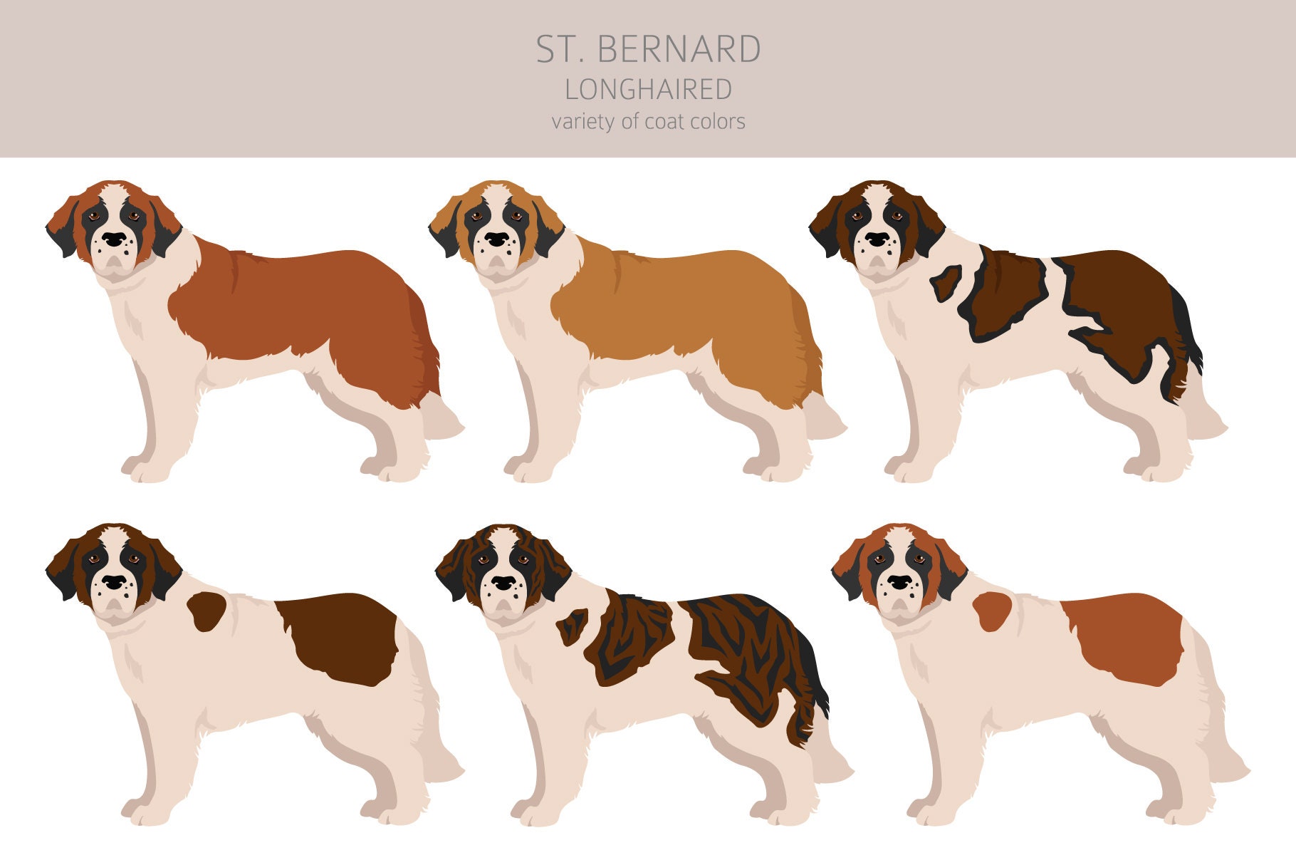 St Bernard Clipart Bundle, St Bernard Puppy Clipart, Dog High Quality ...