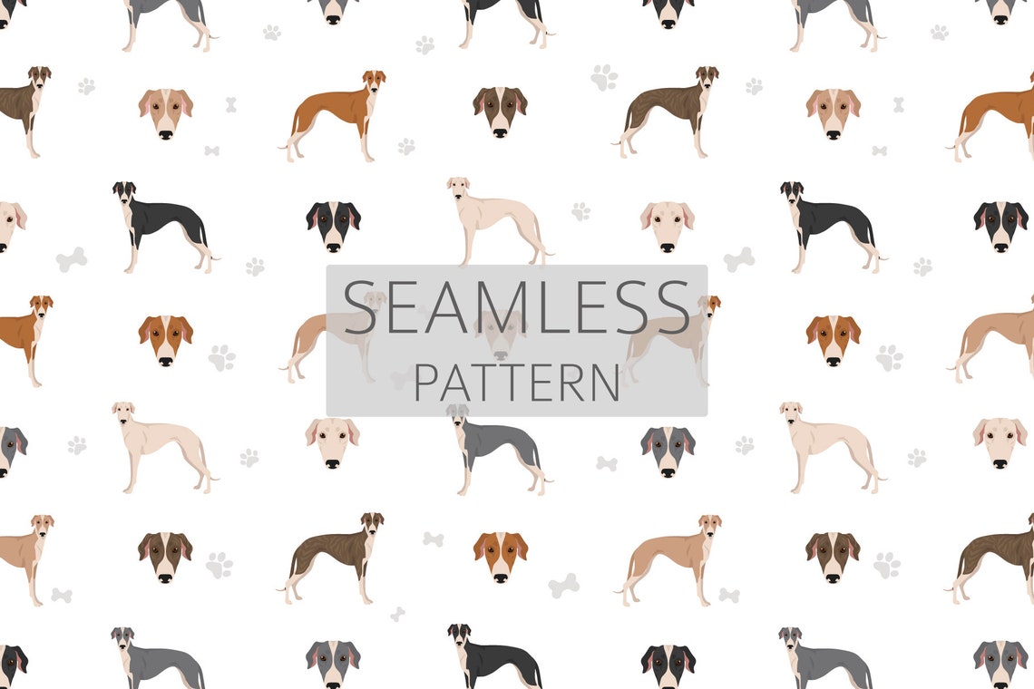 English Greyhound Clipart Bundle, Greyhound Puppy Clipart, High Quality ...