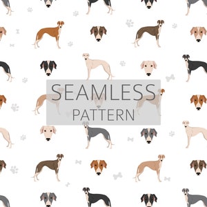 English Greyhound Clipart Bundle, Greyhound Puppy Clipart, High Quality ...