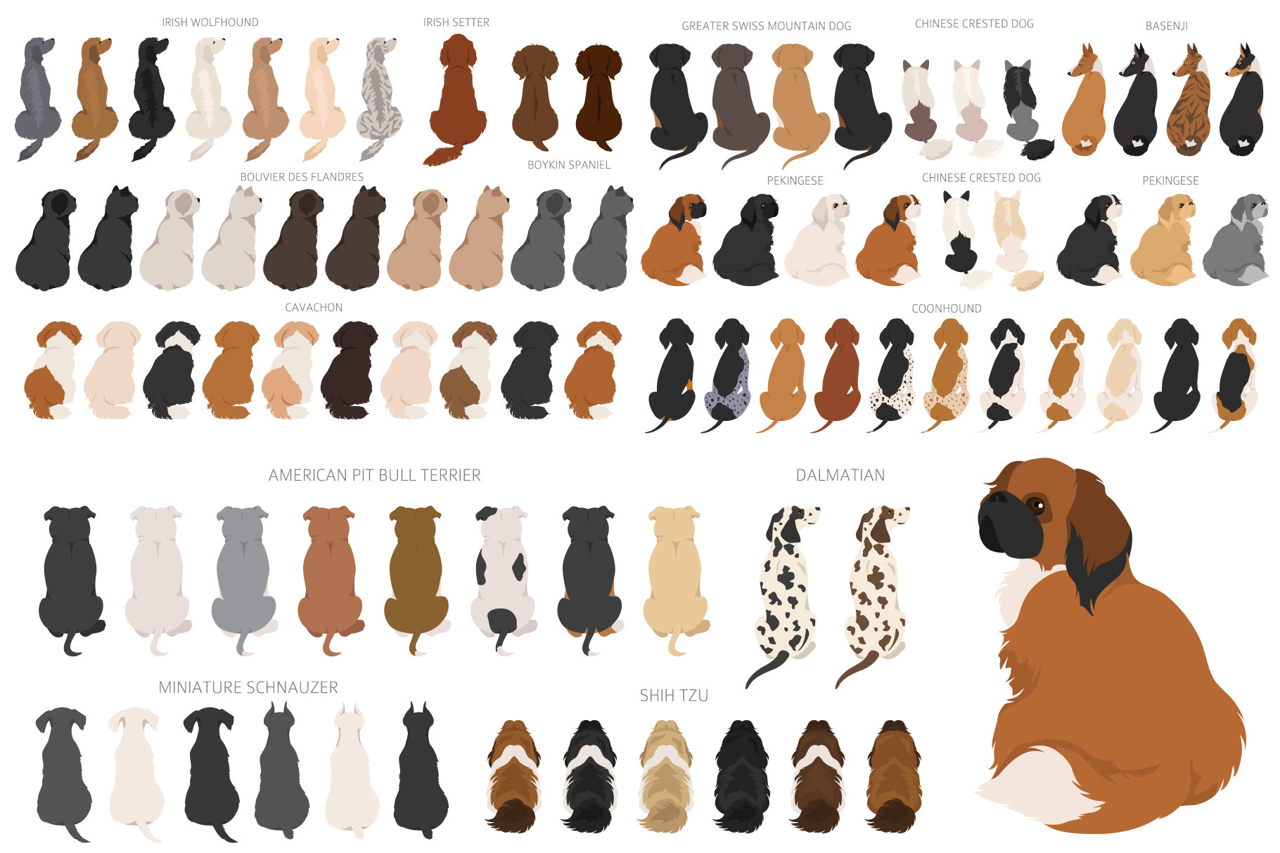 100 Backside Sitting Dog Breeds for Custom Portrait Creation. High ...