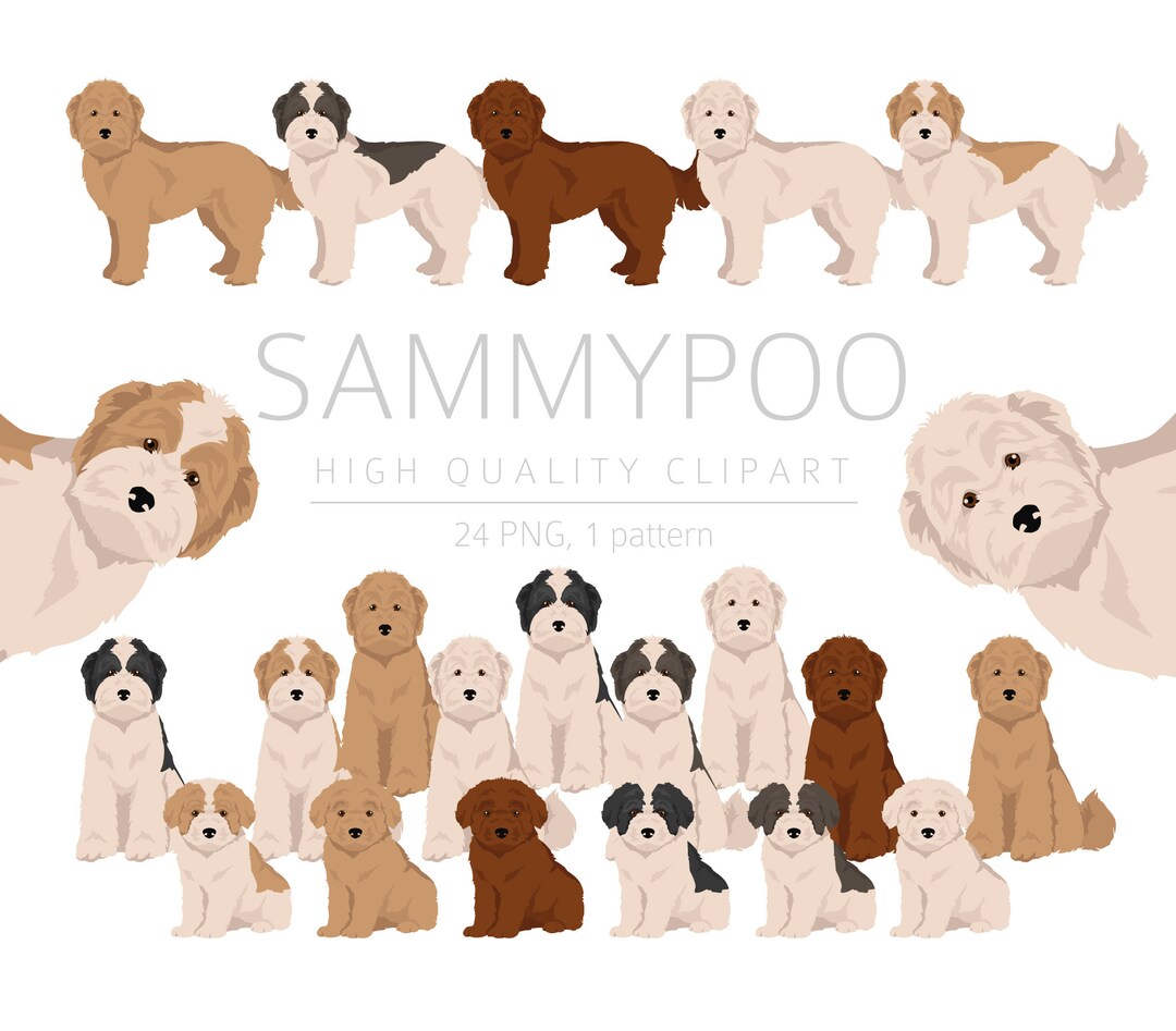 Samoyed Dog Poodle Mix Clipart Bundle, Sammypoo Puppies Clipart ...
