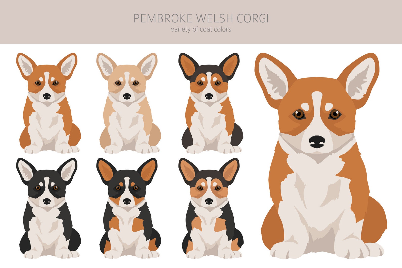Welsh Corgi Pembroke Clipart Bundle, Pem Corgi Puppy Clipart, Dog High ...